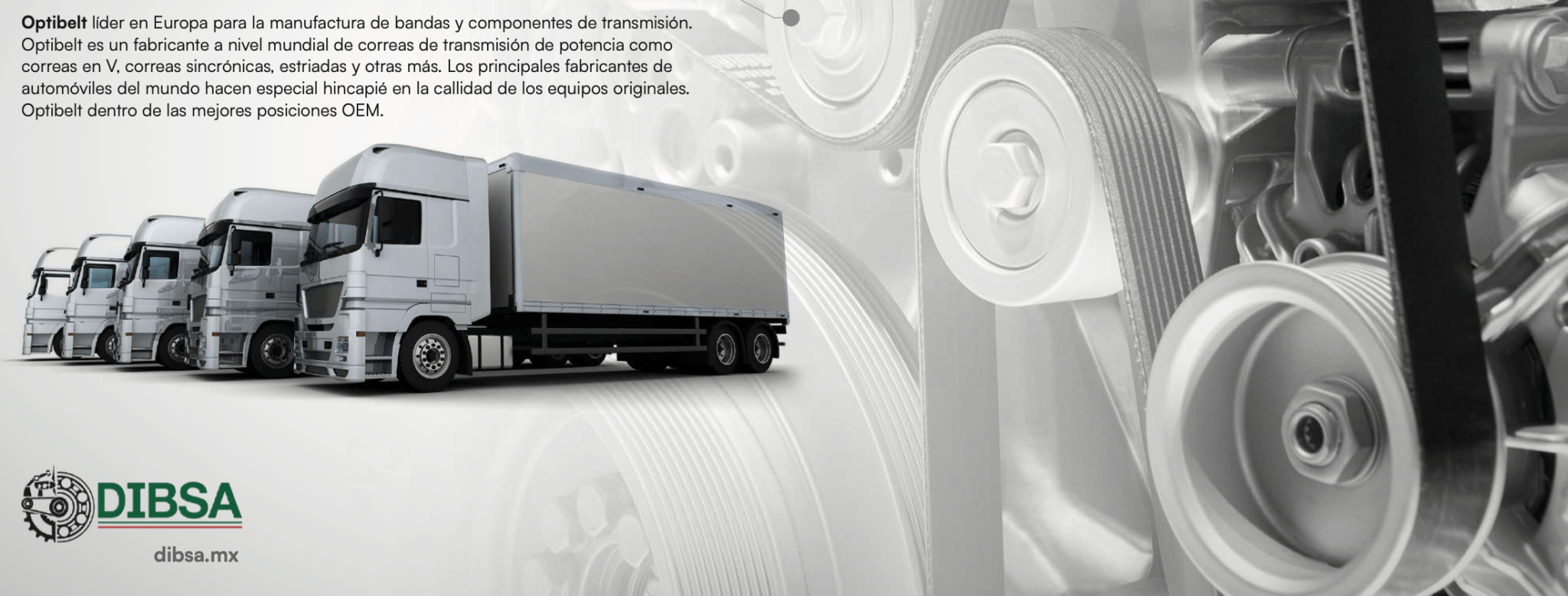 Optibelt - Dibsa México